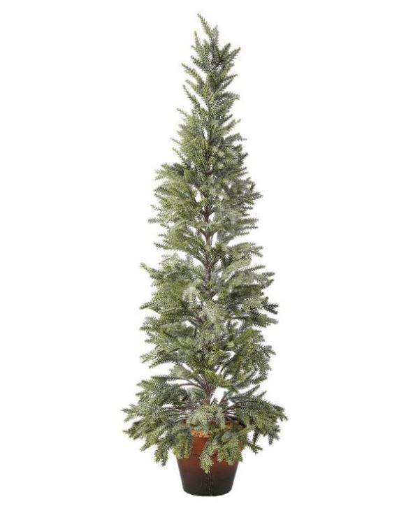 3 Ft Potted Frosted Mini Spruce Tree – The Christmas Palace