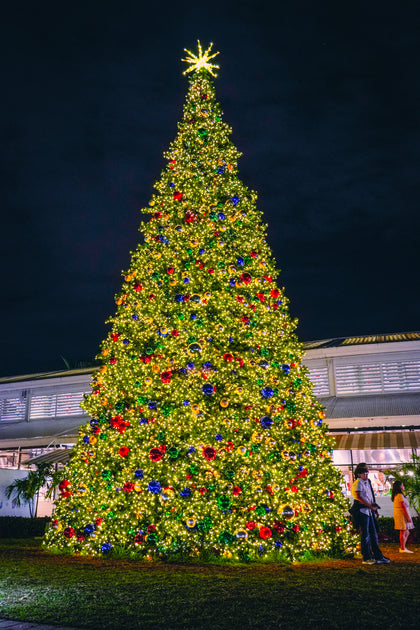 Olympia Tree Pre-Lit Warm White LED Lights