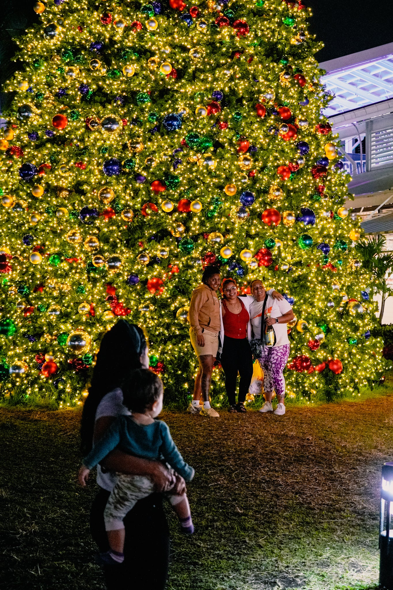 Olympia Tree Pre-Lit Warm White LED Lights