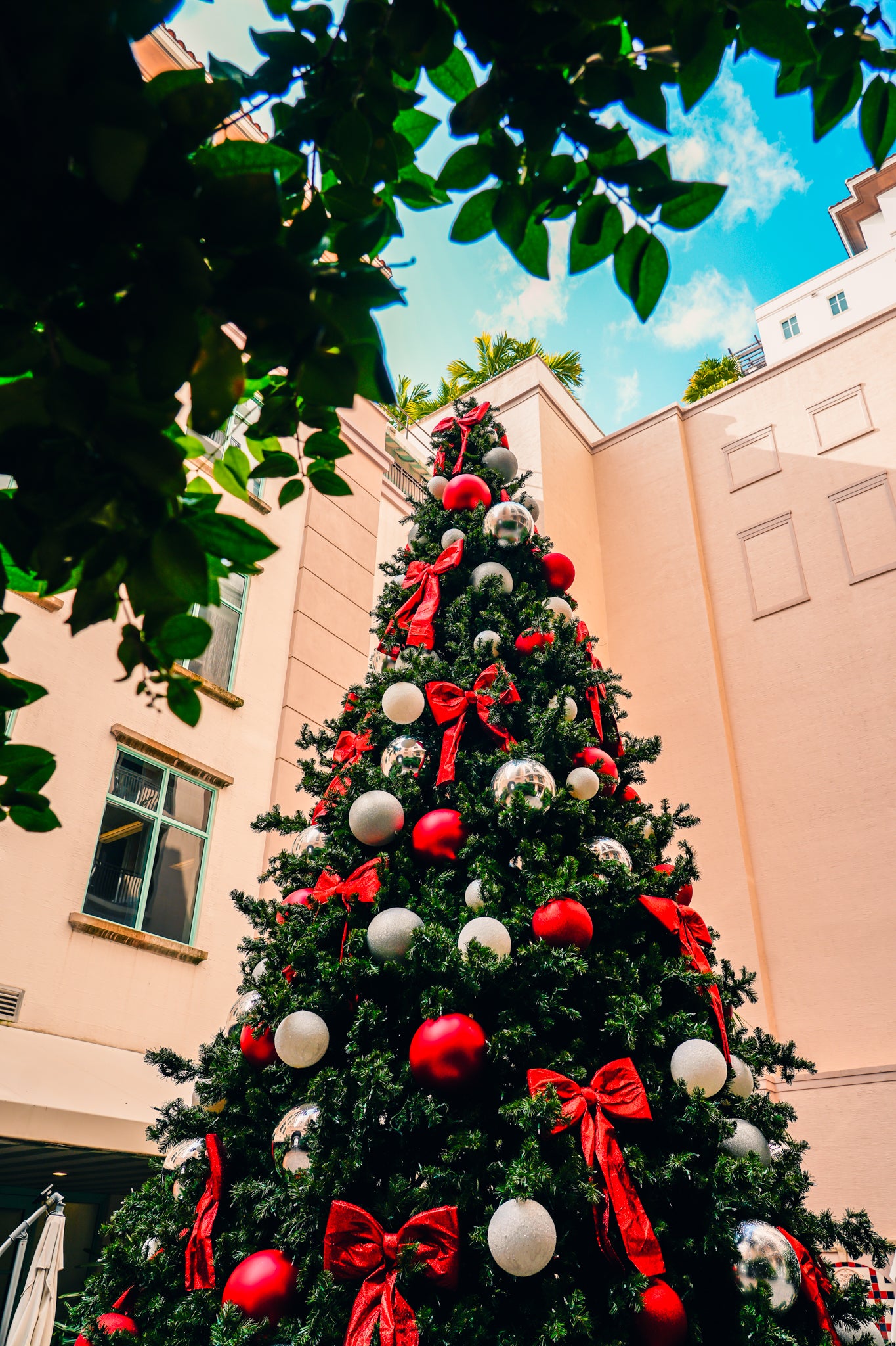 Olympia Tree Pre-Lit Warm White LED Lights