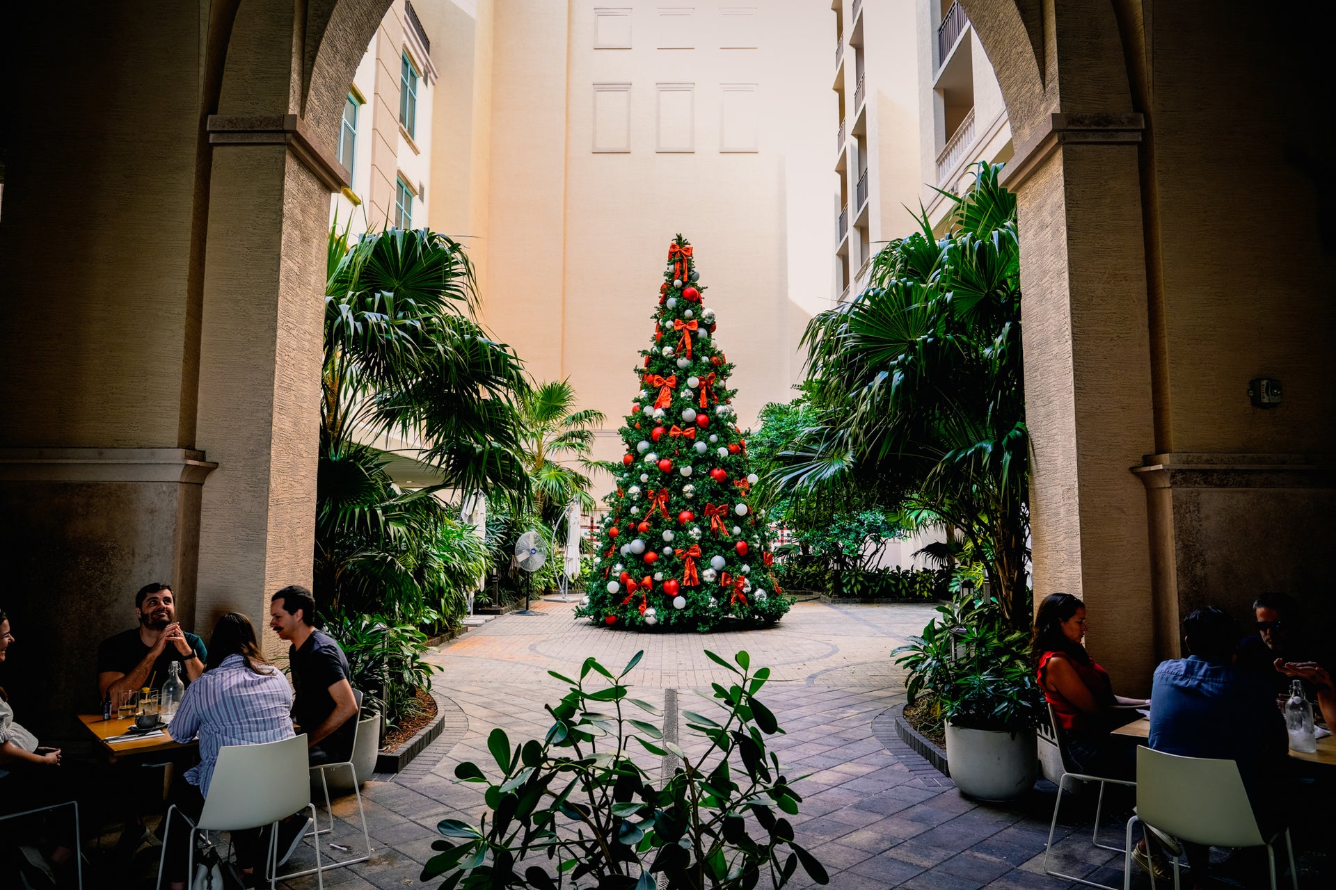 Olympia Tree Pre-Lit Warm White LED Lights