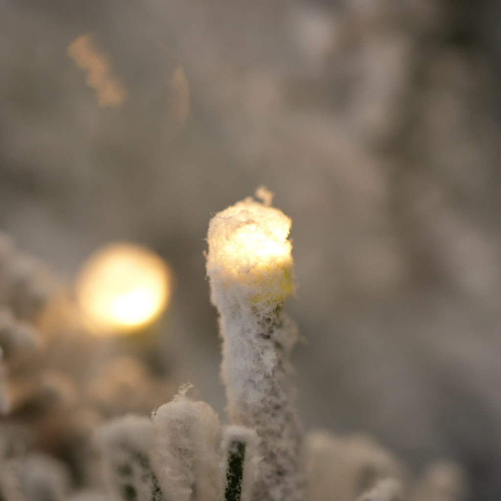 Duke Flocked Tree Pre-Lit Warm White LED Lights