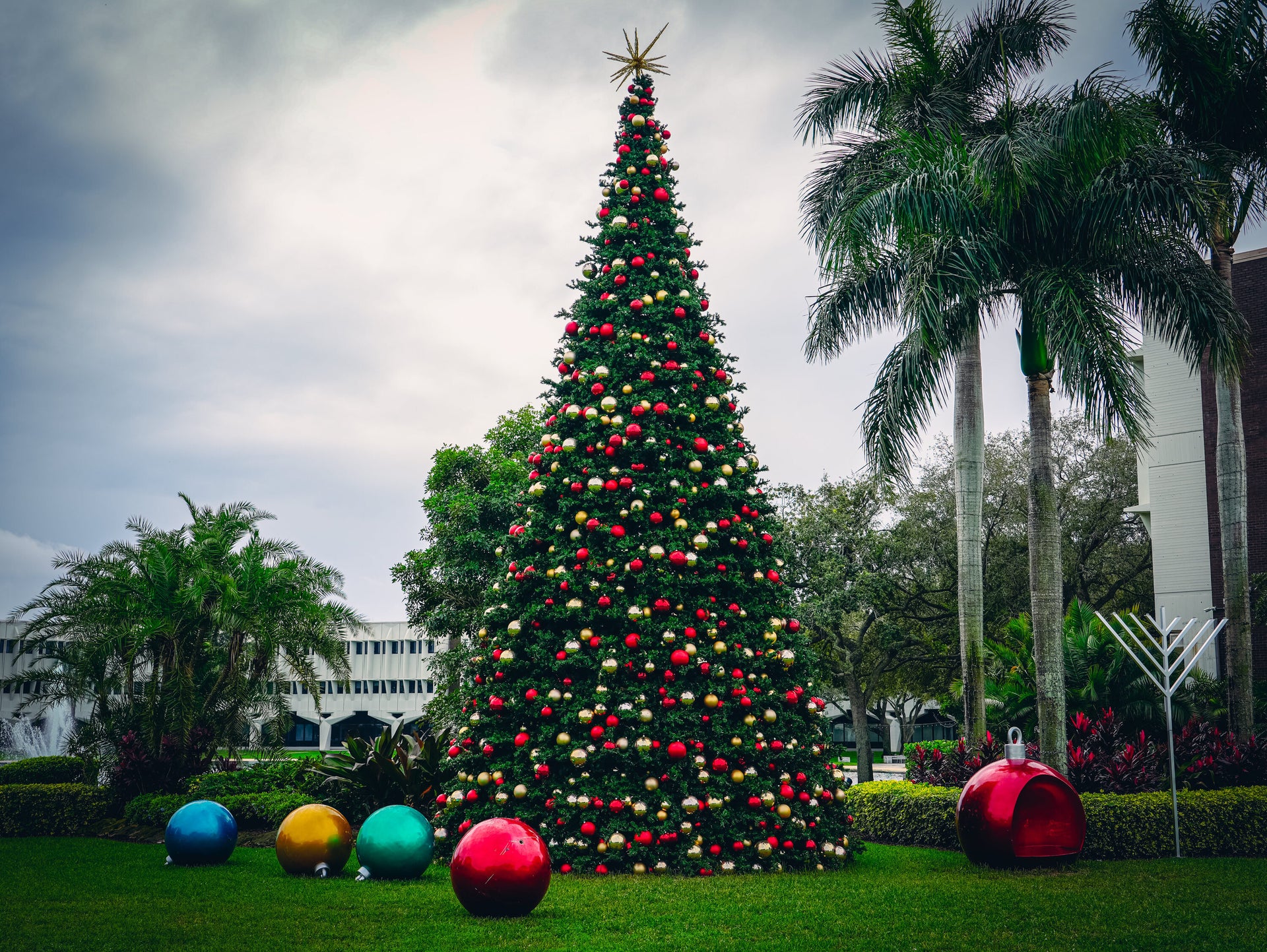 Olympia Tree Pre-Lit Warm White LED Lights